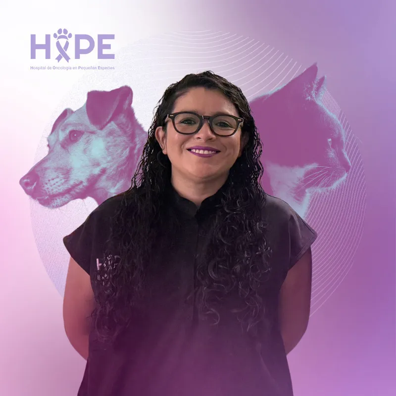 ¿Quiénes somos? - Hospital de Oncología en Pequeñas Especies